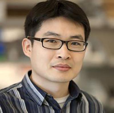 NIH Director's Seminar Series: Molecular regulation of synaptic ...